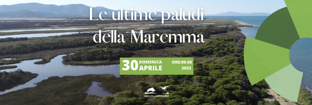 Le ultime paludi della Maremma - Parco Maremma